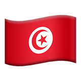 🇹🇳 Flag: Tunisia Emoji