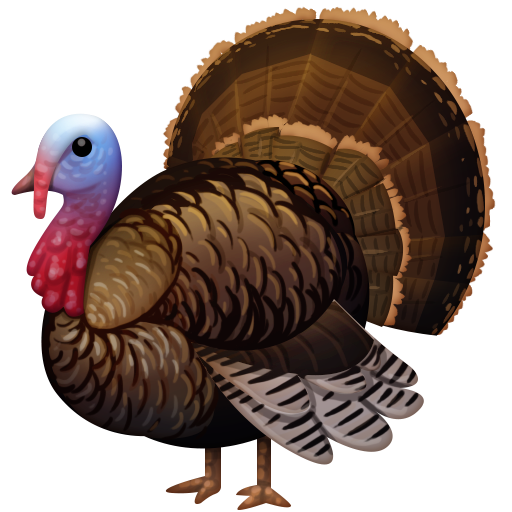 Turkey Emoji 🦃