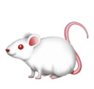 🐁 Mus emoji
